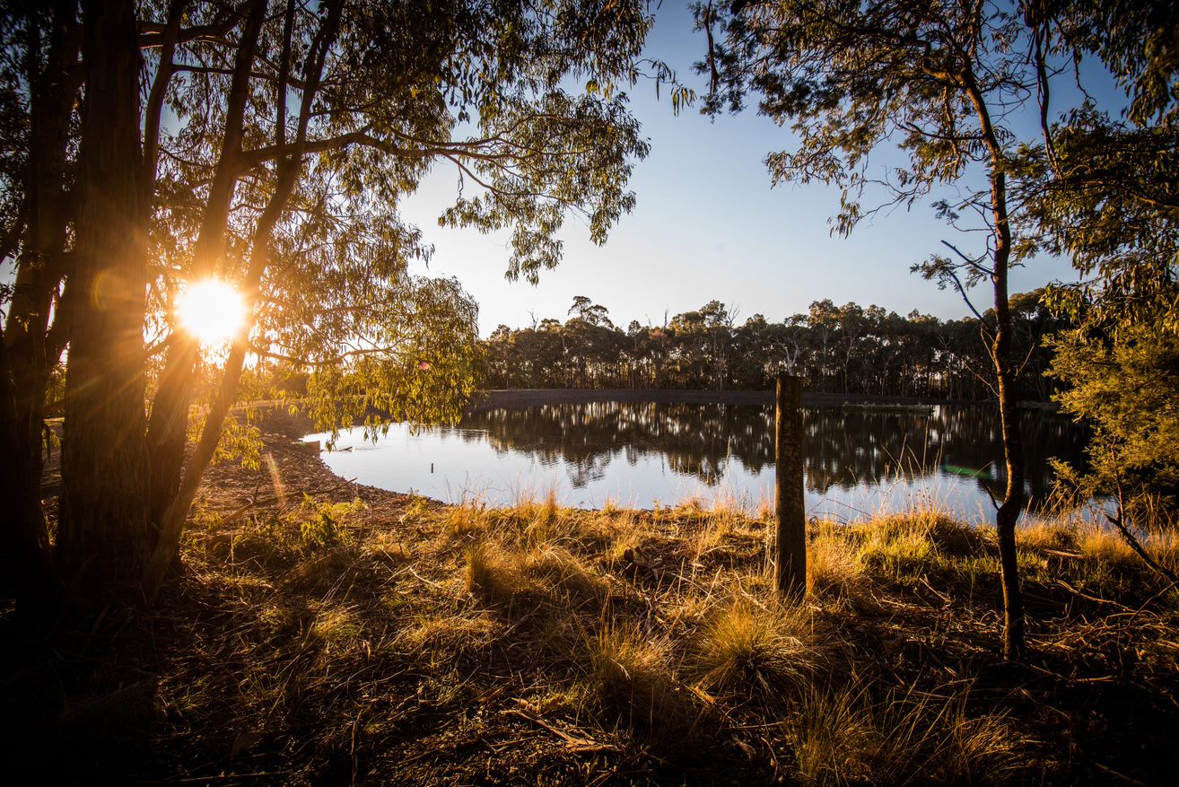 Riddells Creek recycled water plant inlet upgrade | Your Say GWW