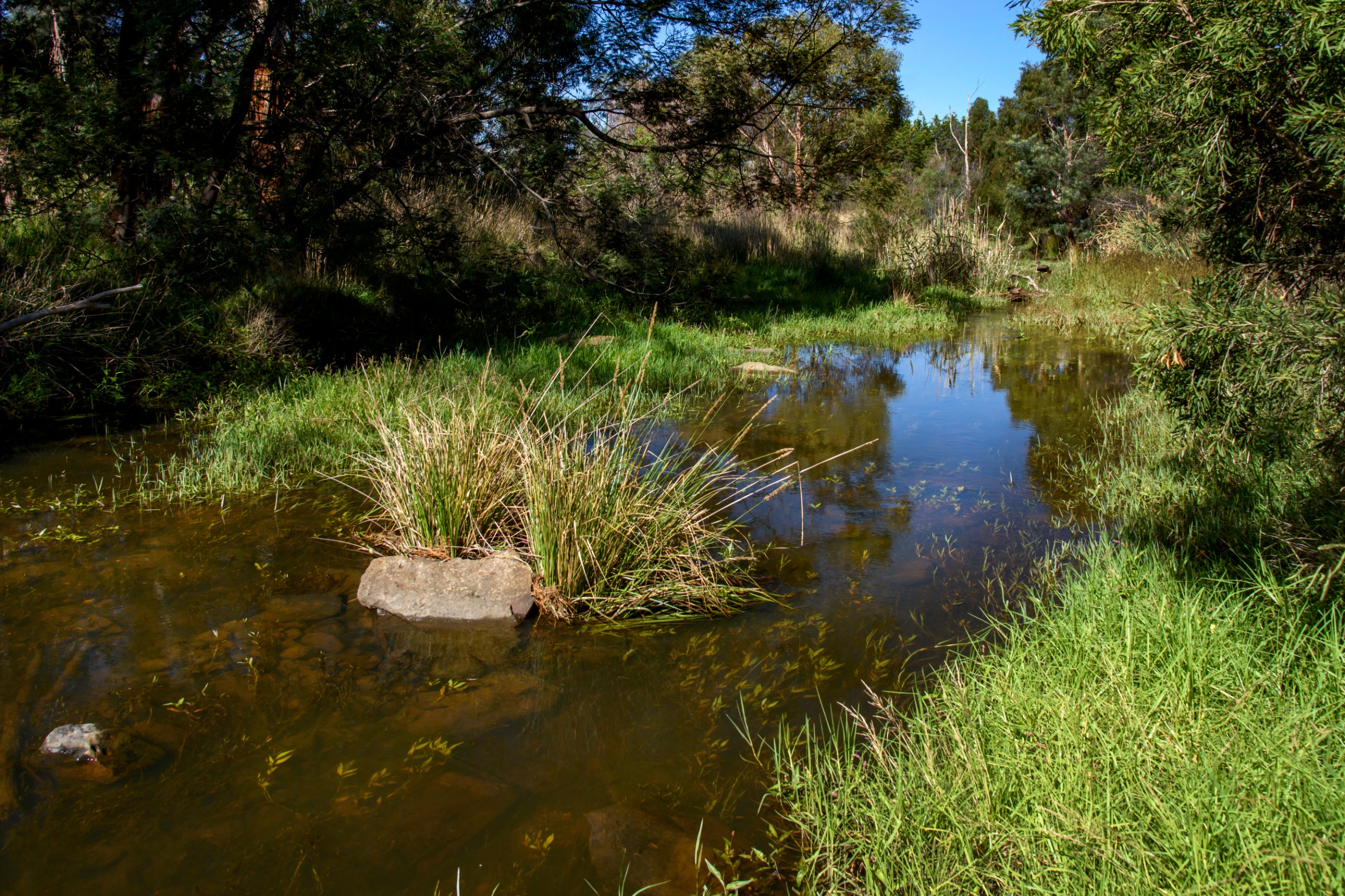 Macedon Ranges water future | Your Say GWW